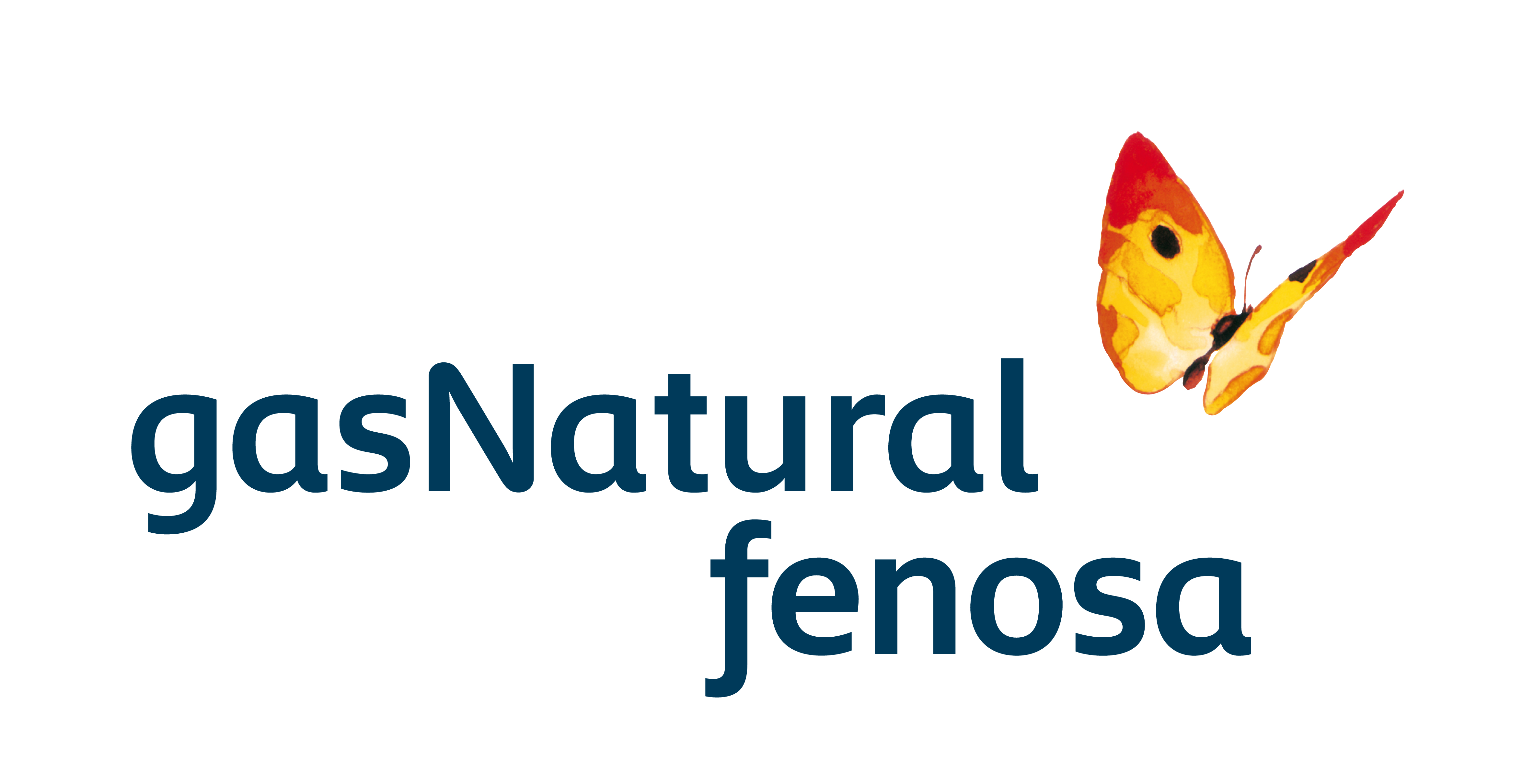 Logo Gas Natural — Consell Social — UPC. Universitat Politècnica de ...
