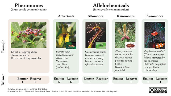 Researchers find that chemical communication between living beings ...