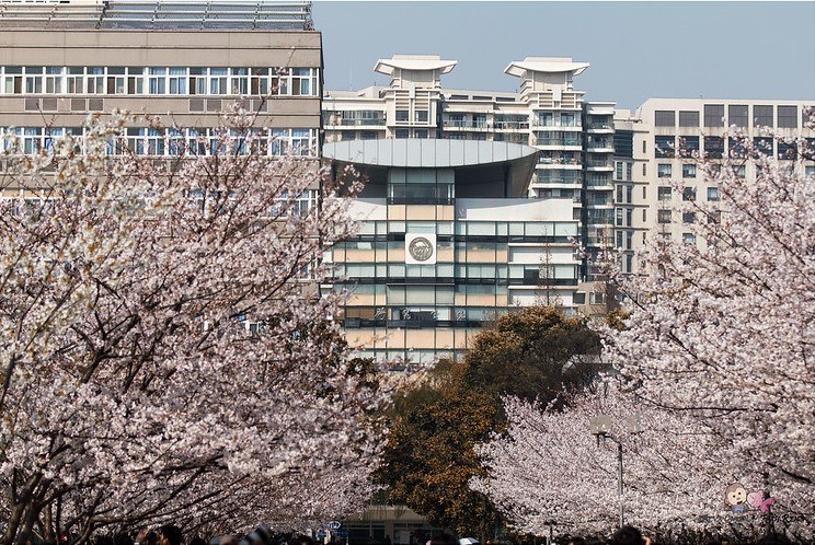 Forum Tongji 2025 para Jóvenes Investigadores UPC — Gabinete de ...